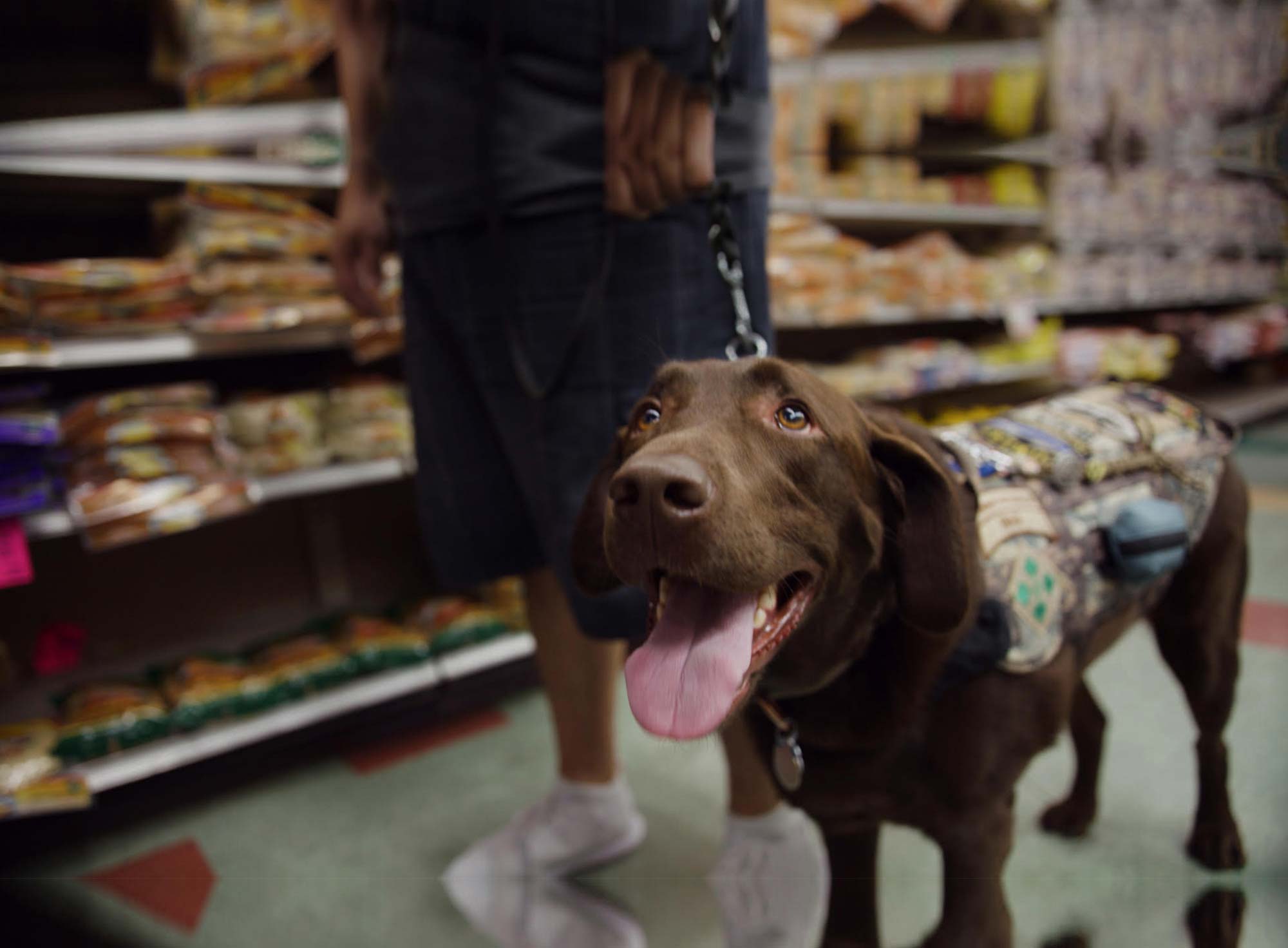 BY MY SIDE | A documentary film on military veterans, service dogs, and ...